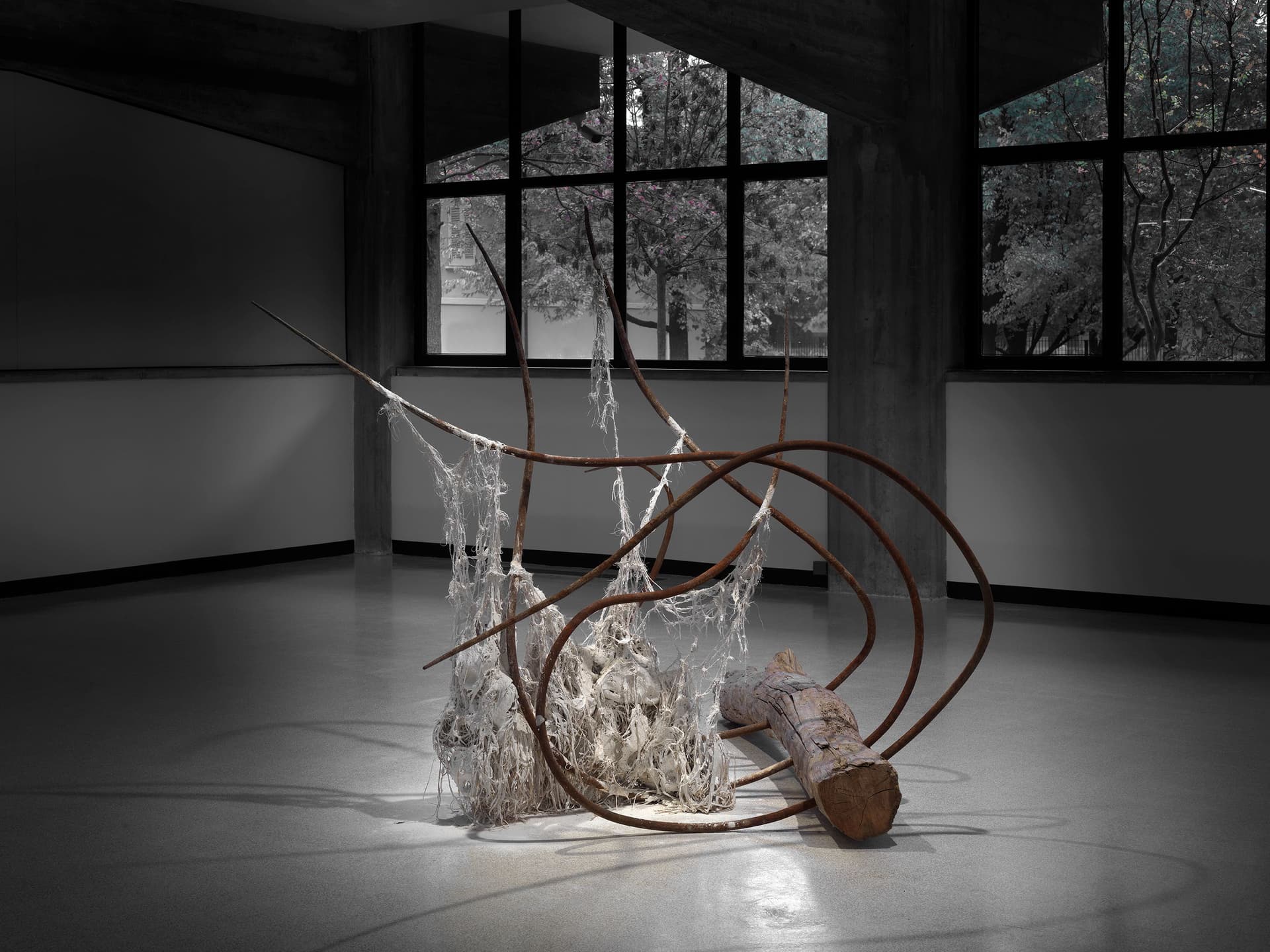 Collezione Maramotti | Collezione Maramotti